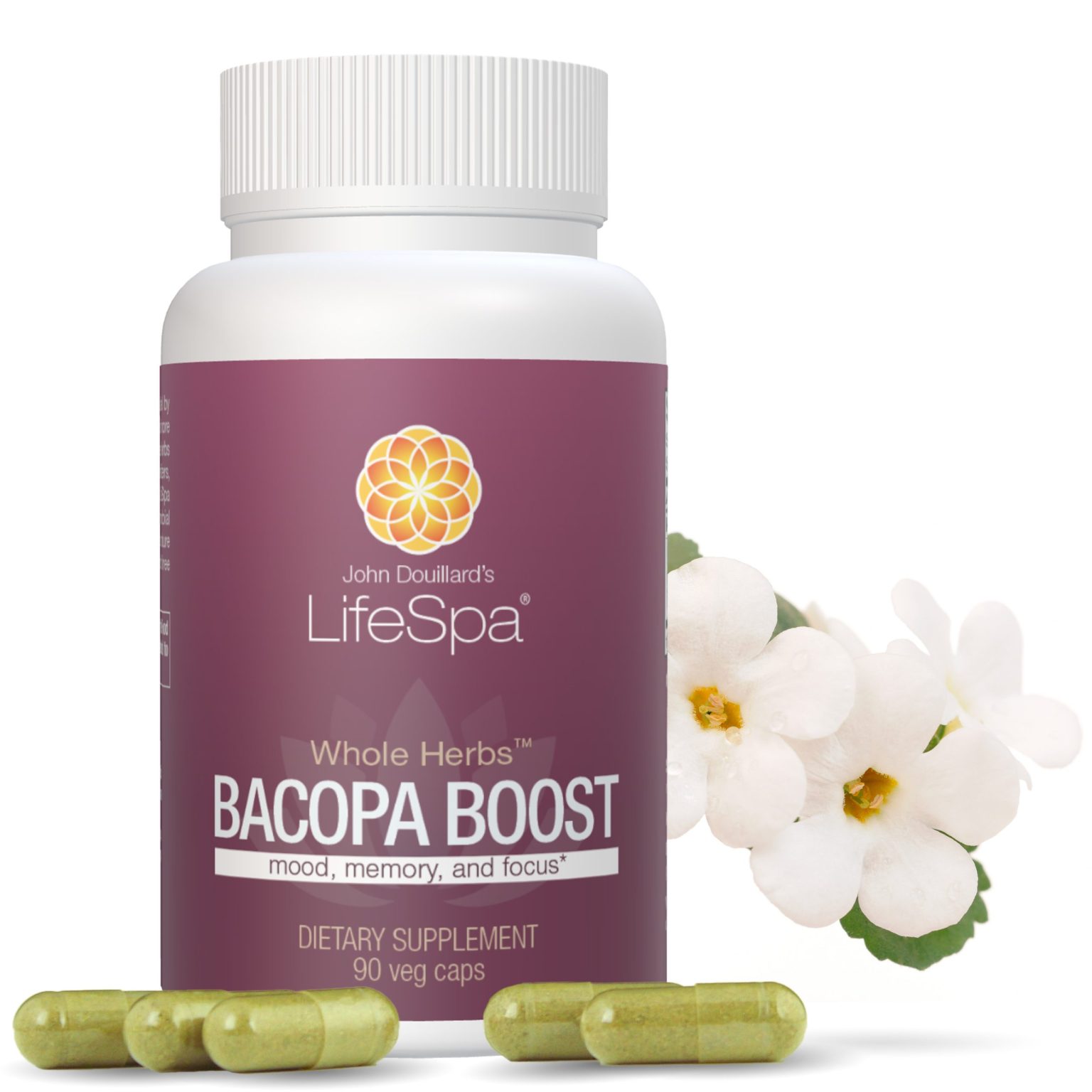 Home - Dr. John Douillard's LifeSpa