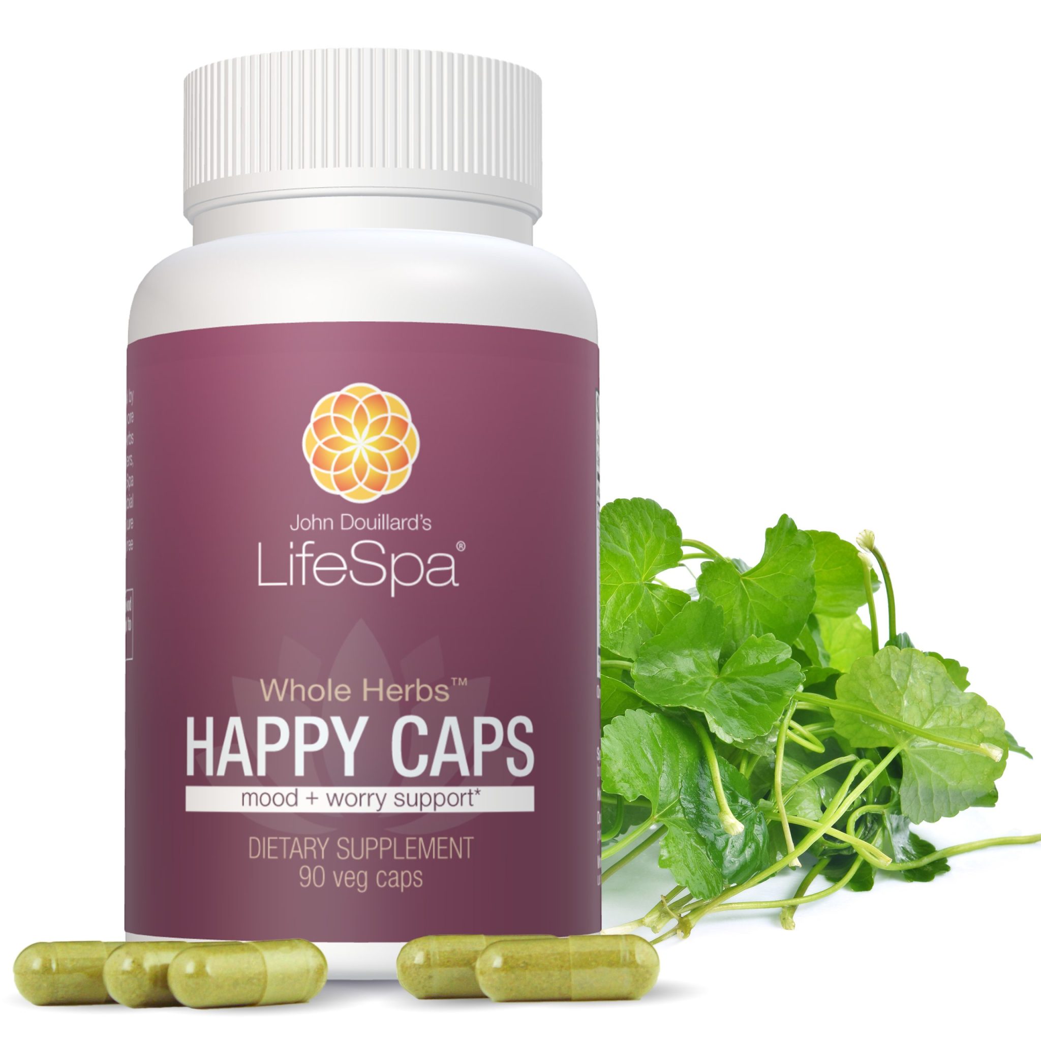 Home - Dr. John Douillard's LifeSpa